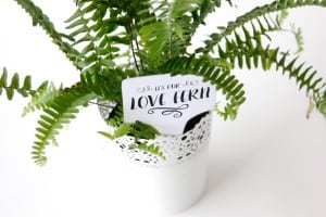 LOVE FERN valentine + printables - see kate sew