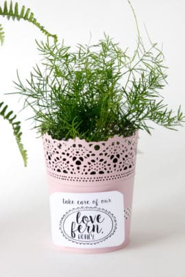 LOVE FERN valentine + printables - see kate sew