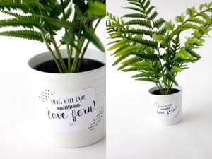 LOVE FERN valentine + printables - see kate sew