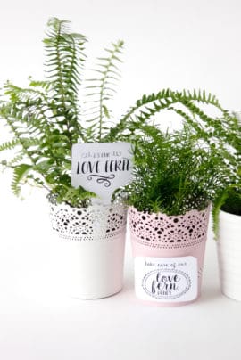 LOVE FERN valentine + printables - see kate sew