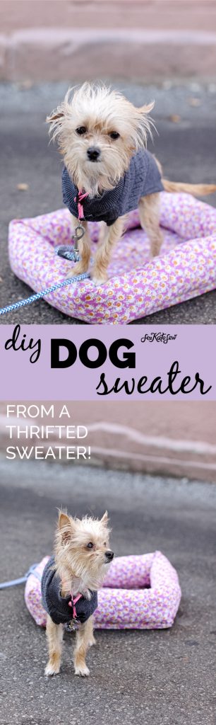 dog sweater sewing pattern and cute puppy pictures! - see kate sew