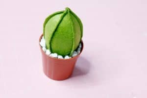 Pincushion Cactus Tutorial - see kate sew