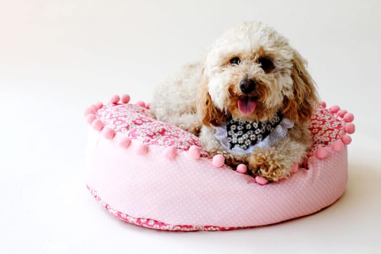 DIY Dog Bed Pattern Small to Large - see kate sew
