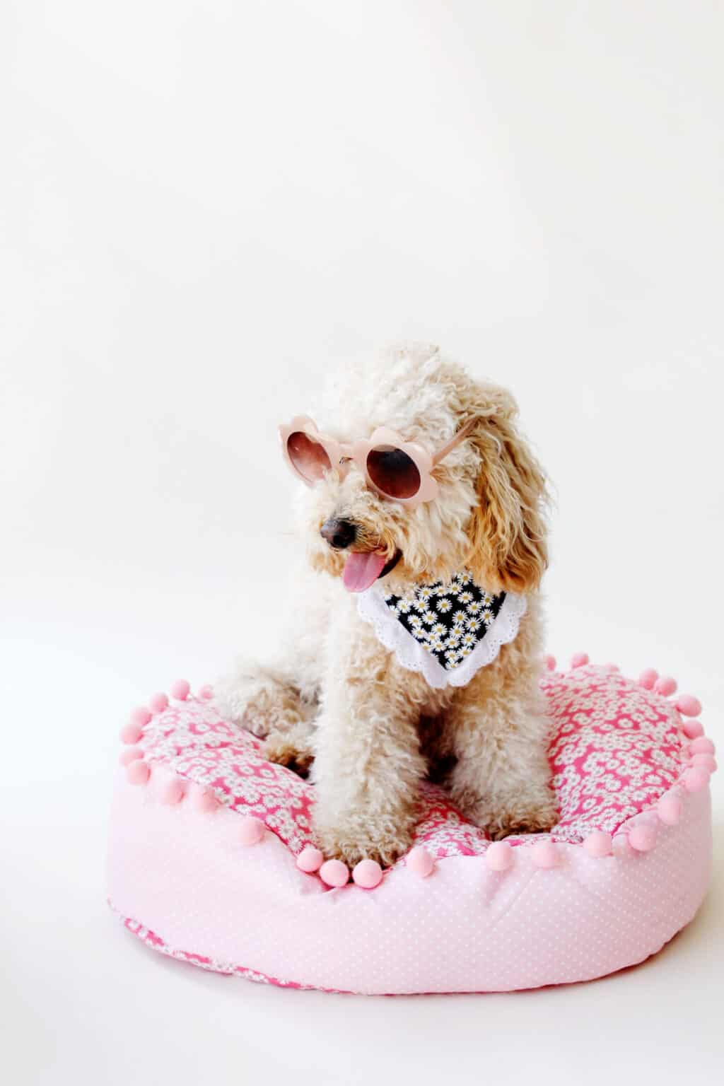 Dog Sewing Patterns - see kate sew