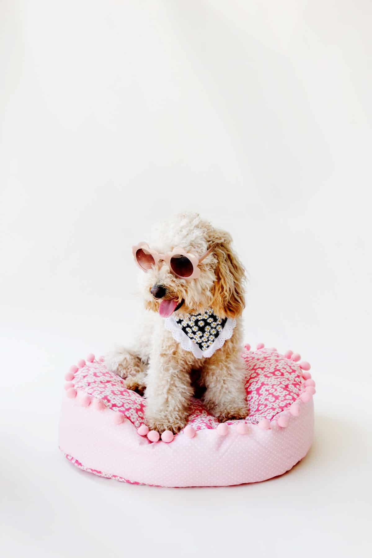 DIY Dog Bed Pattern Small to Large - see kate sew