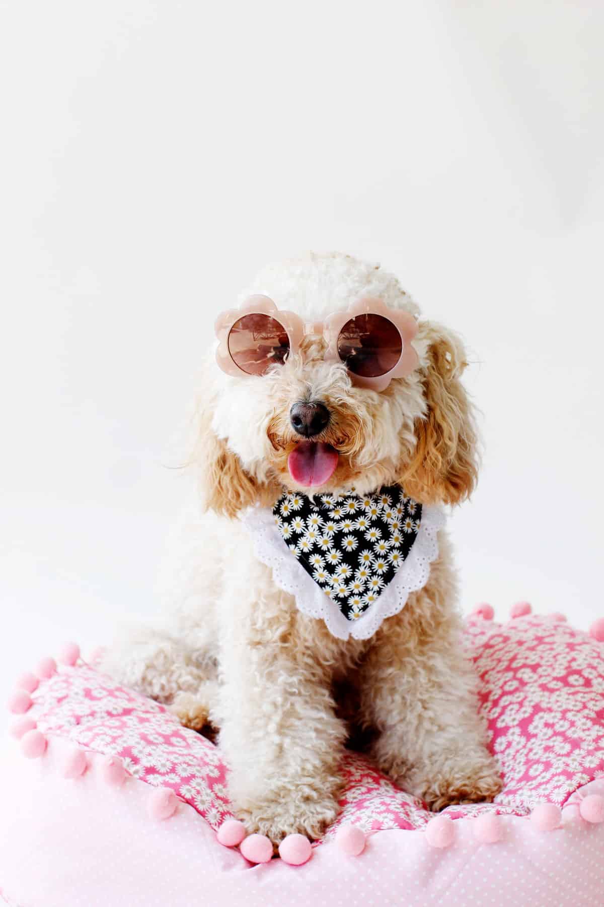 DIY Dog Bed Pattern Small to Large - see kate sew
