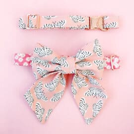 how to make a dog collar free sewing pattern! - see kate sew