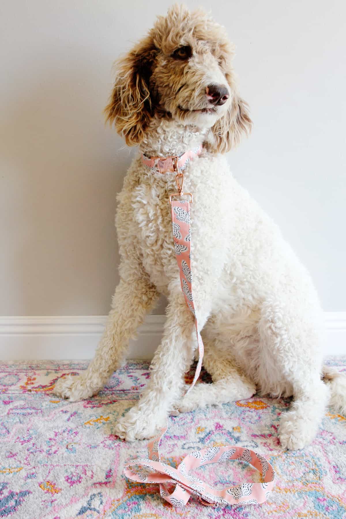 DIY Dog Leash Sewing Pattern - see kate sew