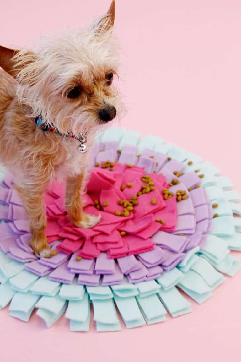 Dog Sewing Patterns - see kate sew