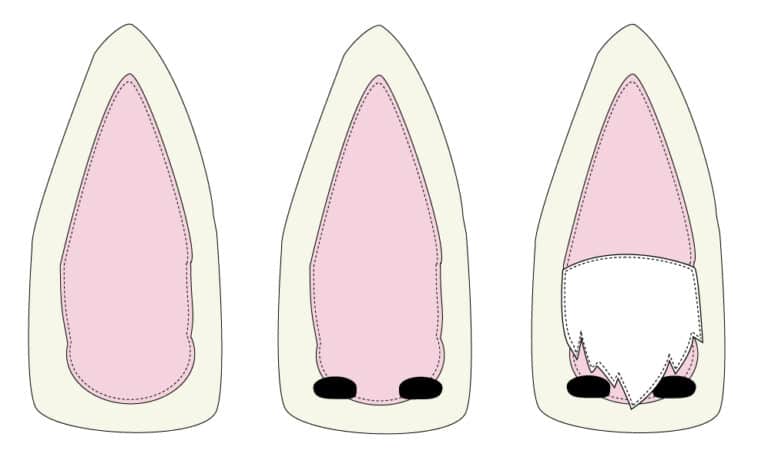 Applique Gnome Sewing Pattern - see kate sew