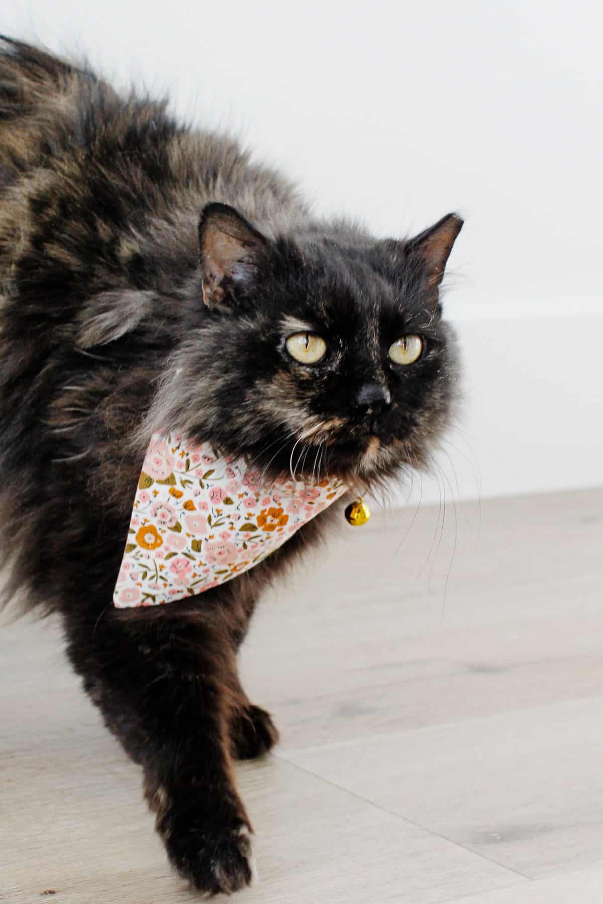 Cat Bandana Sewing Pattern - see kate sew