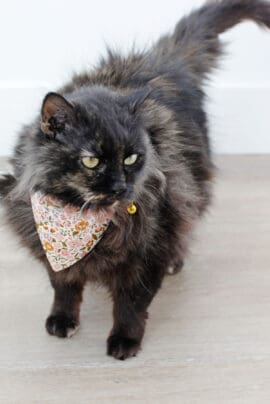 Cat Bandana Sewing Pattern - see kate sew