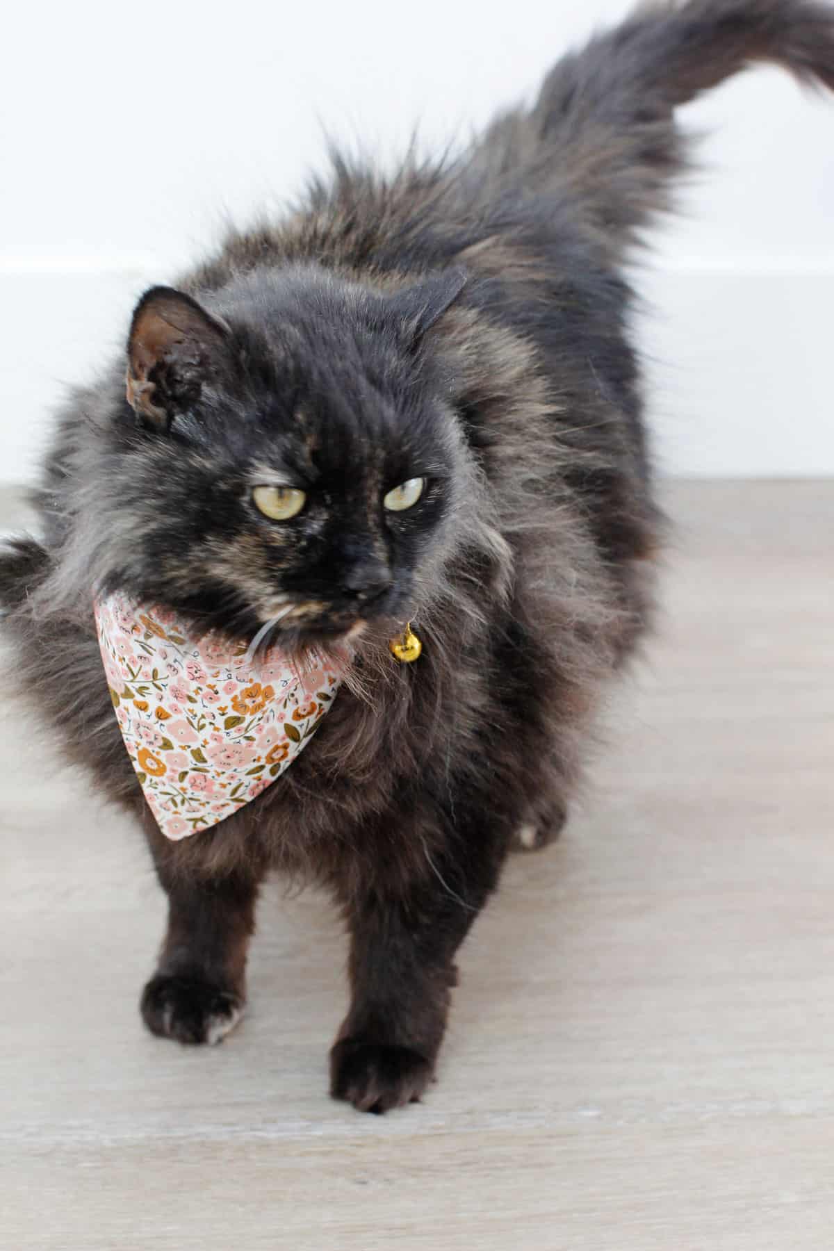Cat Bandana Sewing Pattern - see kate sew