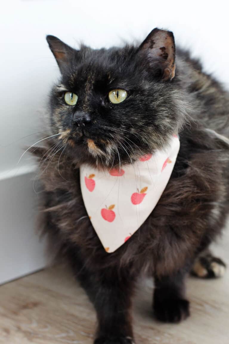 Cat Bandana Sewing Pattern - see kate sew