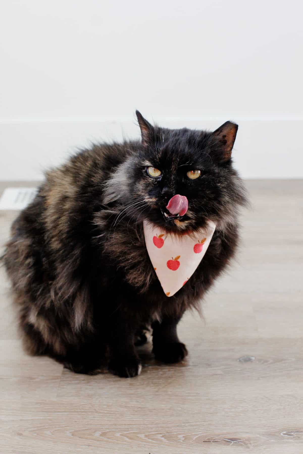 Cat Bandana Sewing Pattern - see kate sew