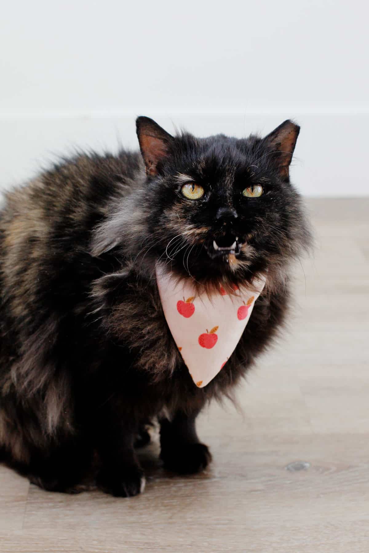 Cat Bandana Sewing Pattern - see kate sew
